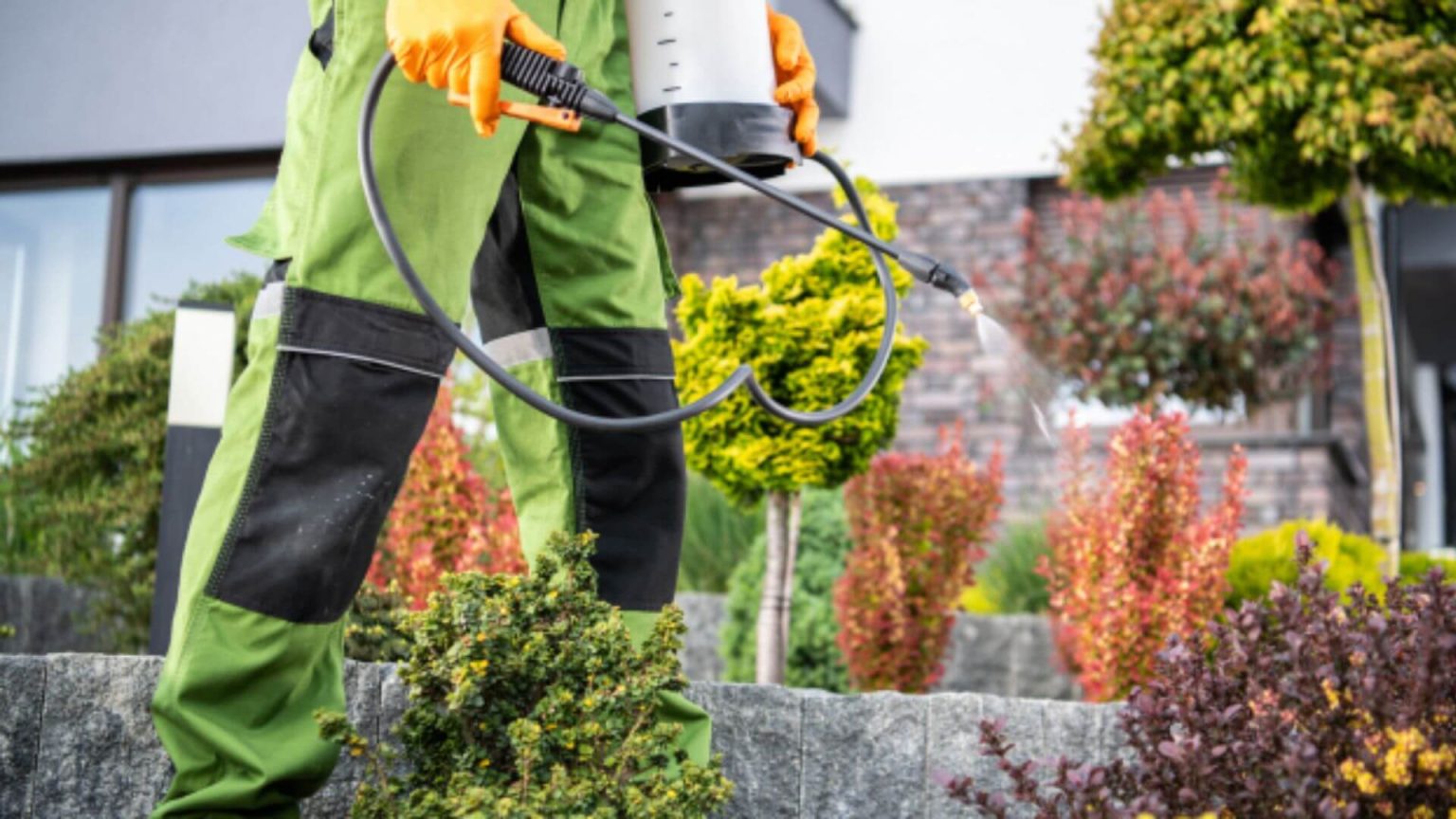 Bug Spraying Tips for Lawns & Gardens | Pest-Free QLD Yard